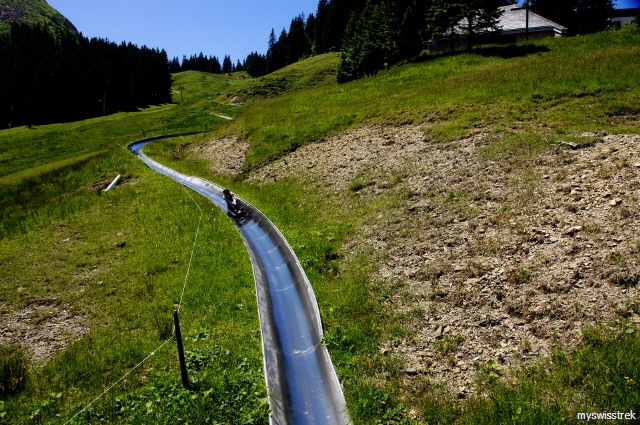 Rodelbahn Pilatus - Erlebnis & Fun bei Luzern - myswisstrek